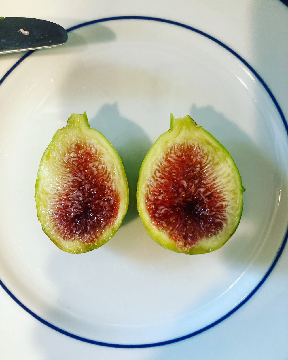 The Best Fig Trees from Across the World. – Phil's Figs