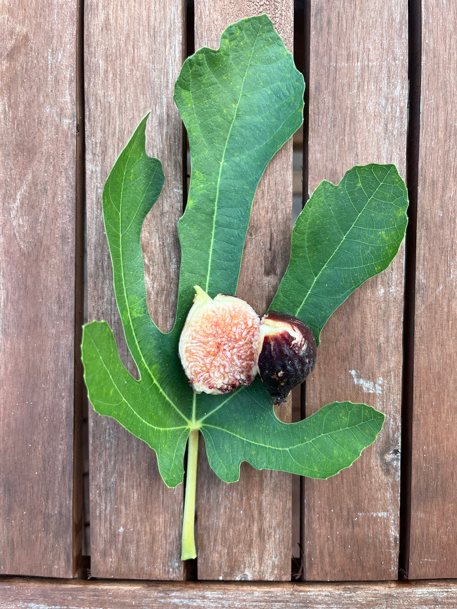 Products – Phil's Figs