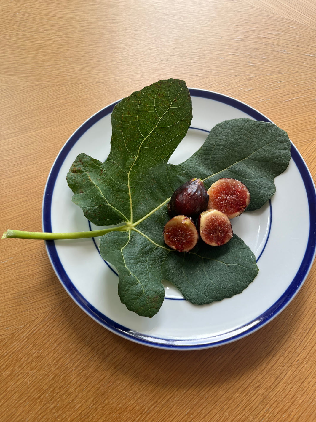 Products – Phil's Figs