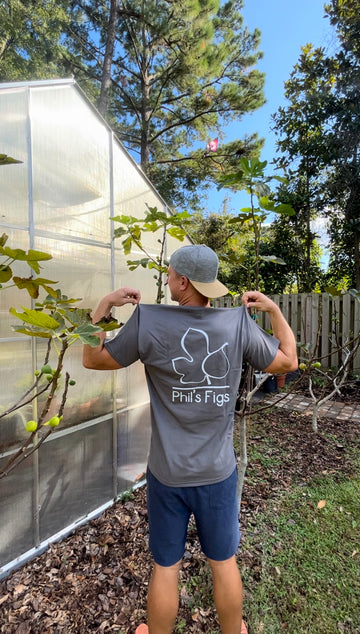 The Best Fig Trees from Across the World. – Phil's Figs